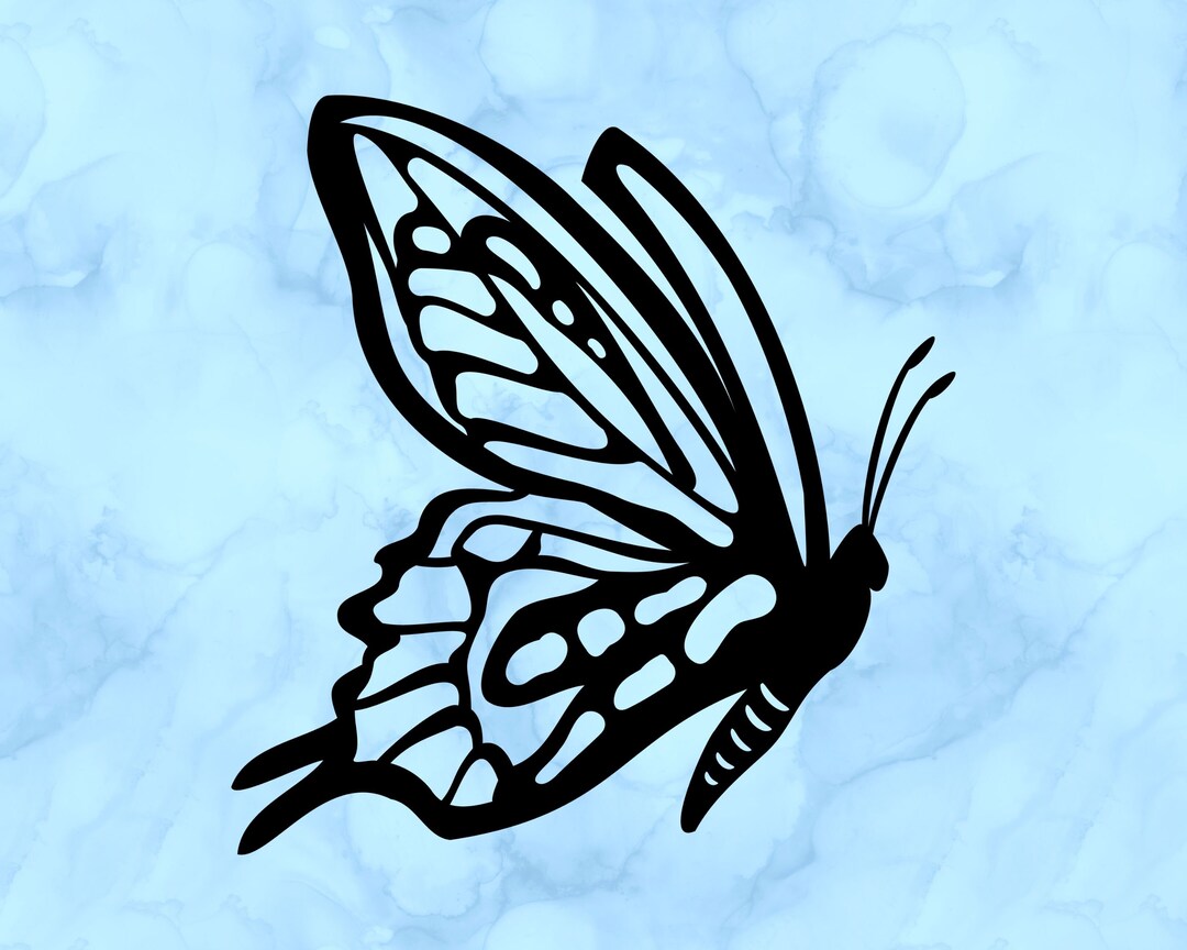 Butterfly Decal - Etsy