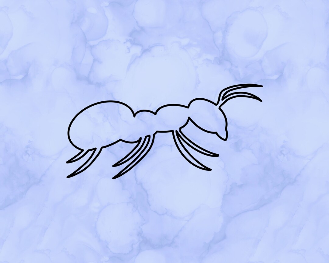 Ant Outline Decal - Etsy