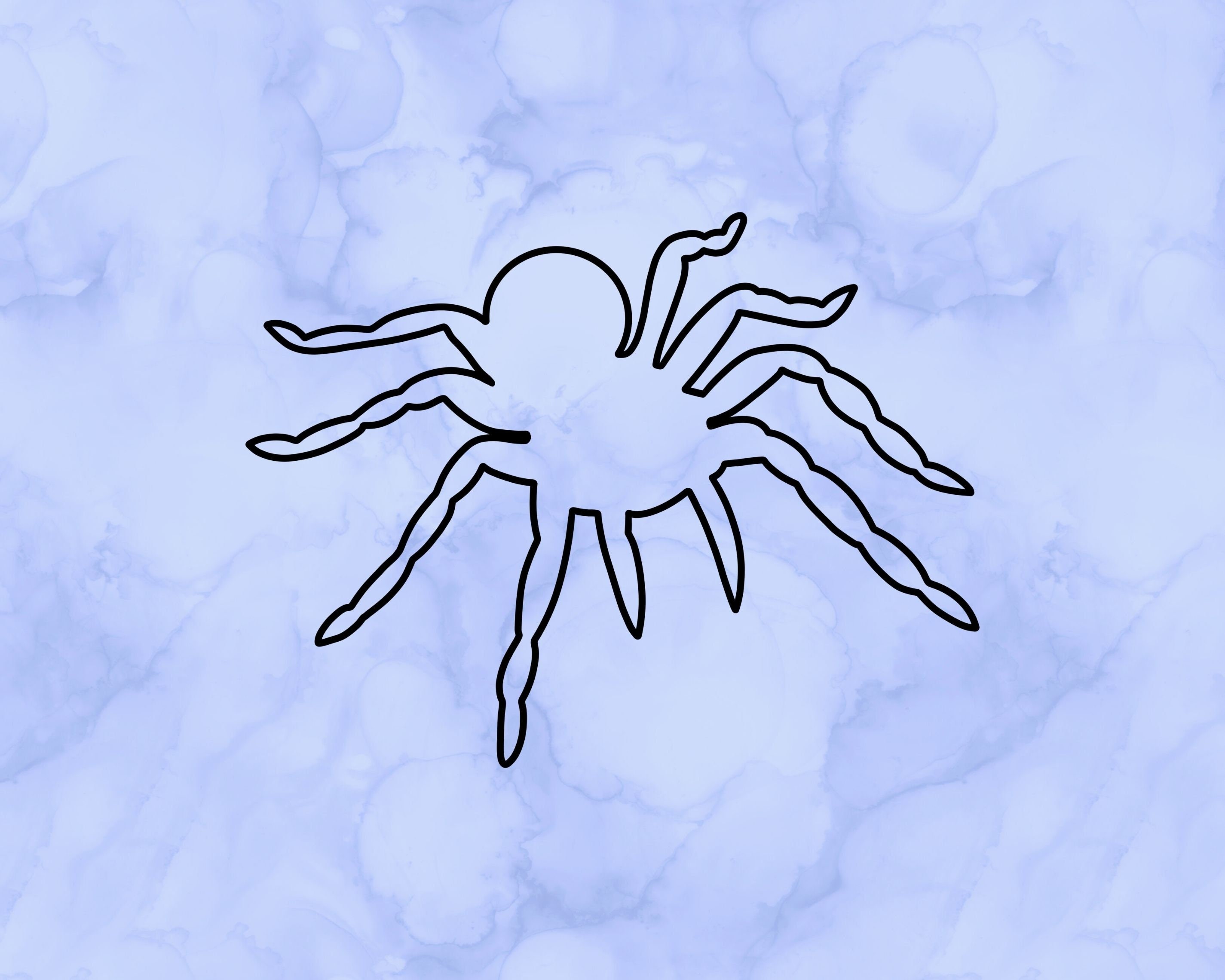 Spider Outline Decal - Etsy