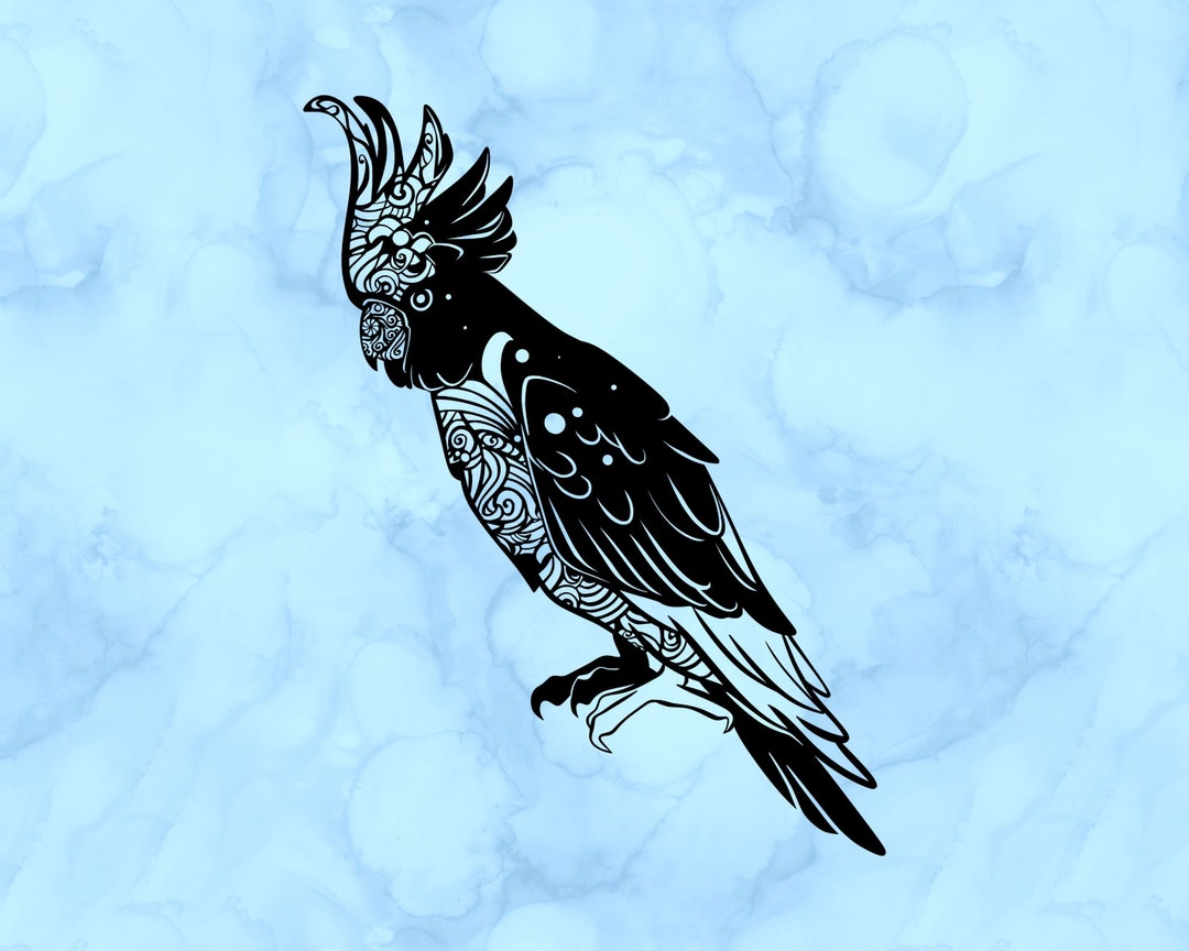 Cockatoo Zentangle Decal - Etsy