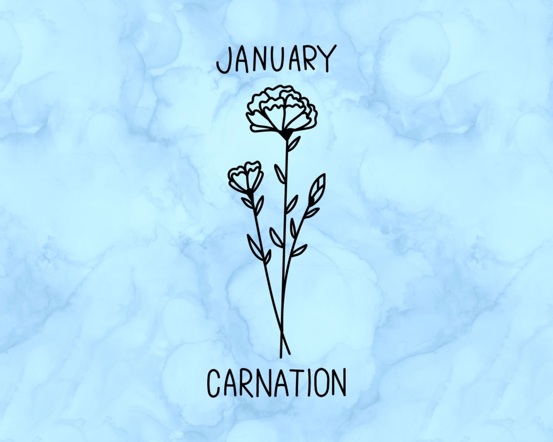 January Birth Flower Carnation Decal - Etsy