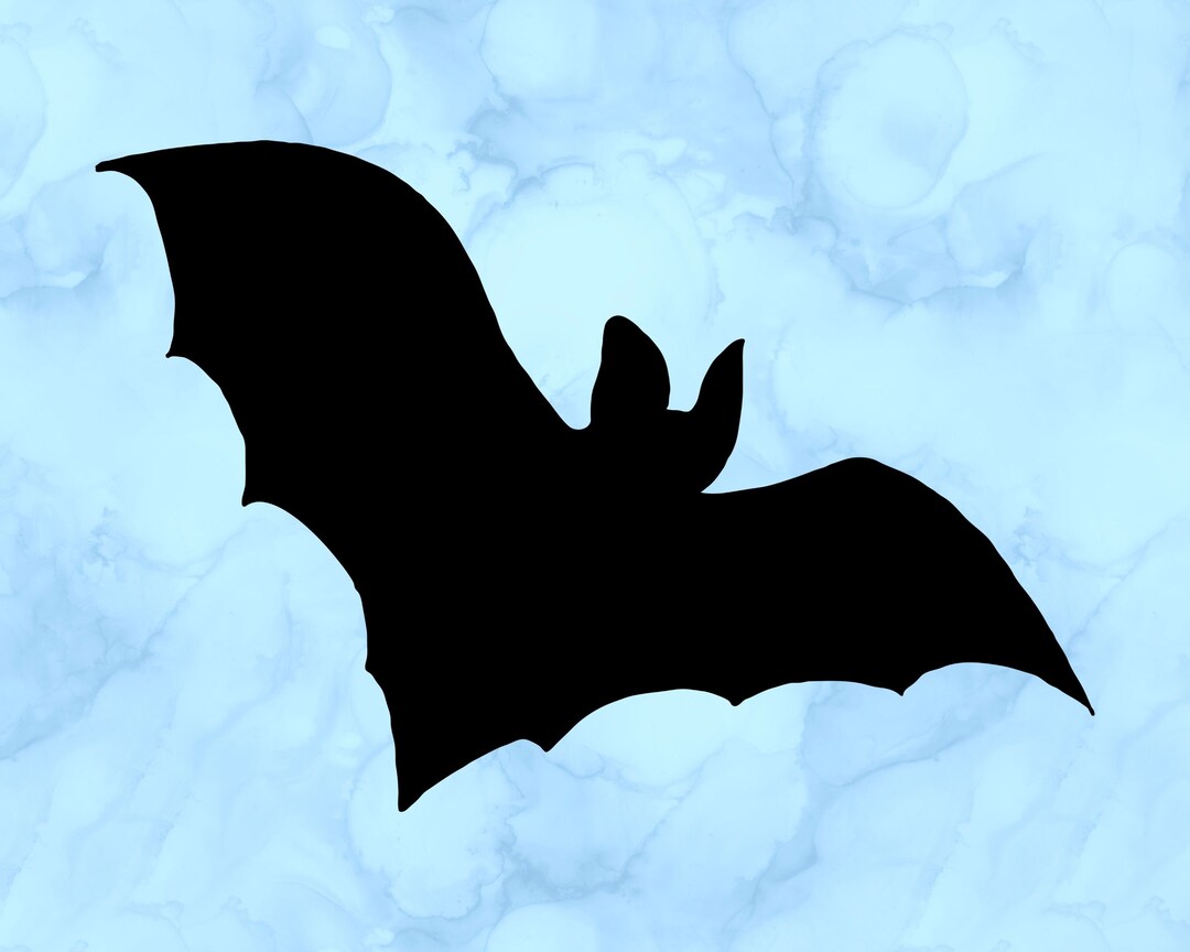 Bat Decal - Etsy