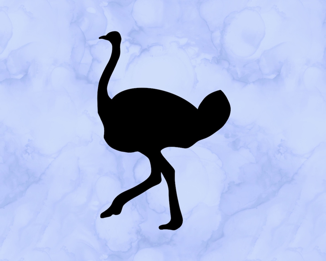 Ostrich Decal - Etsy