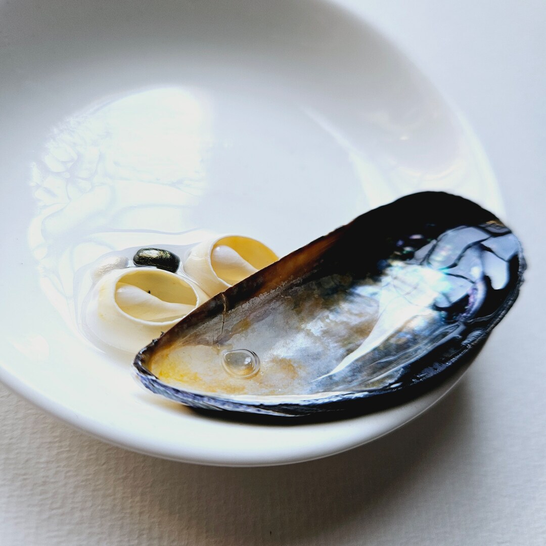 Trinket Dish With Pearls and Seashells - Etsy