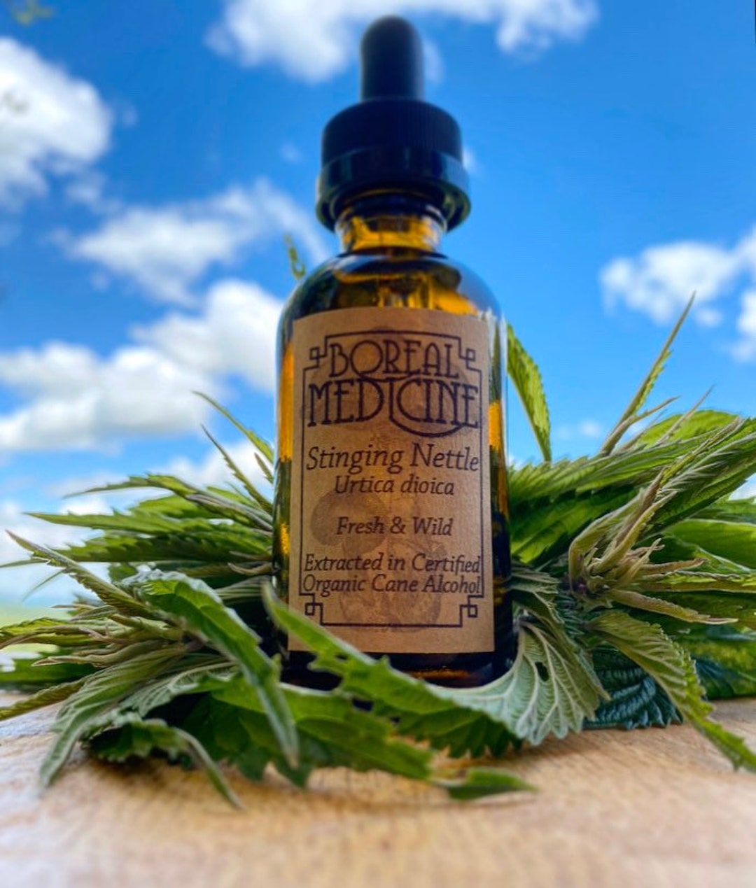 Stinging Nettle Tincture • Organic, Wild & Fresh - Etsy