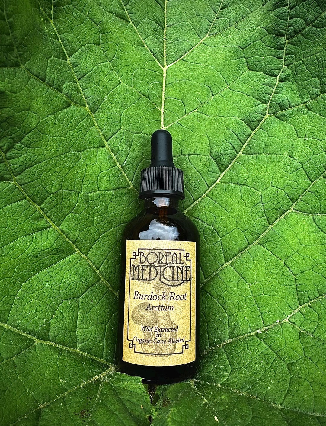 Burdock Root Tincture | Organic, Wild & Fresh - Etsy