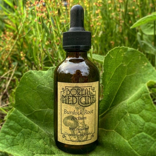 Mullein Tincture Organic Wild & Fresh - Etsy