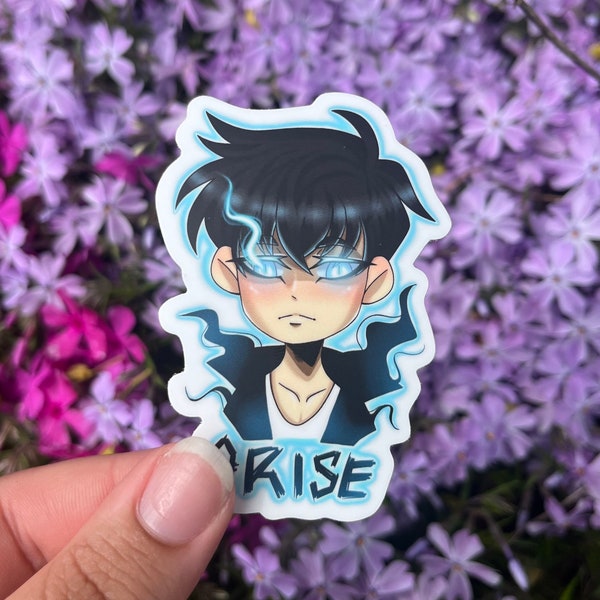 Solo Leveling Stickers - Etsy