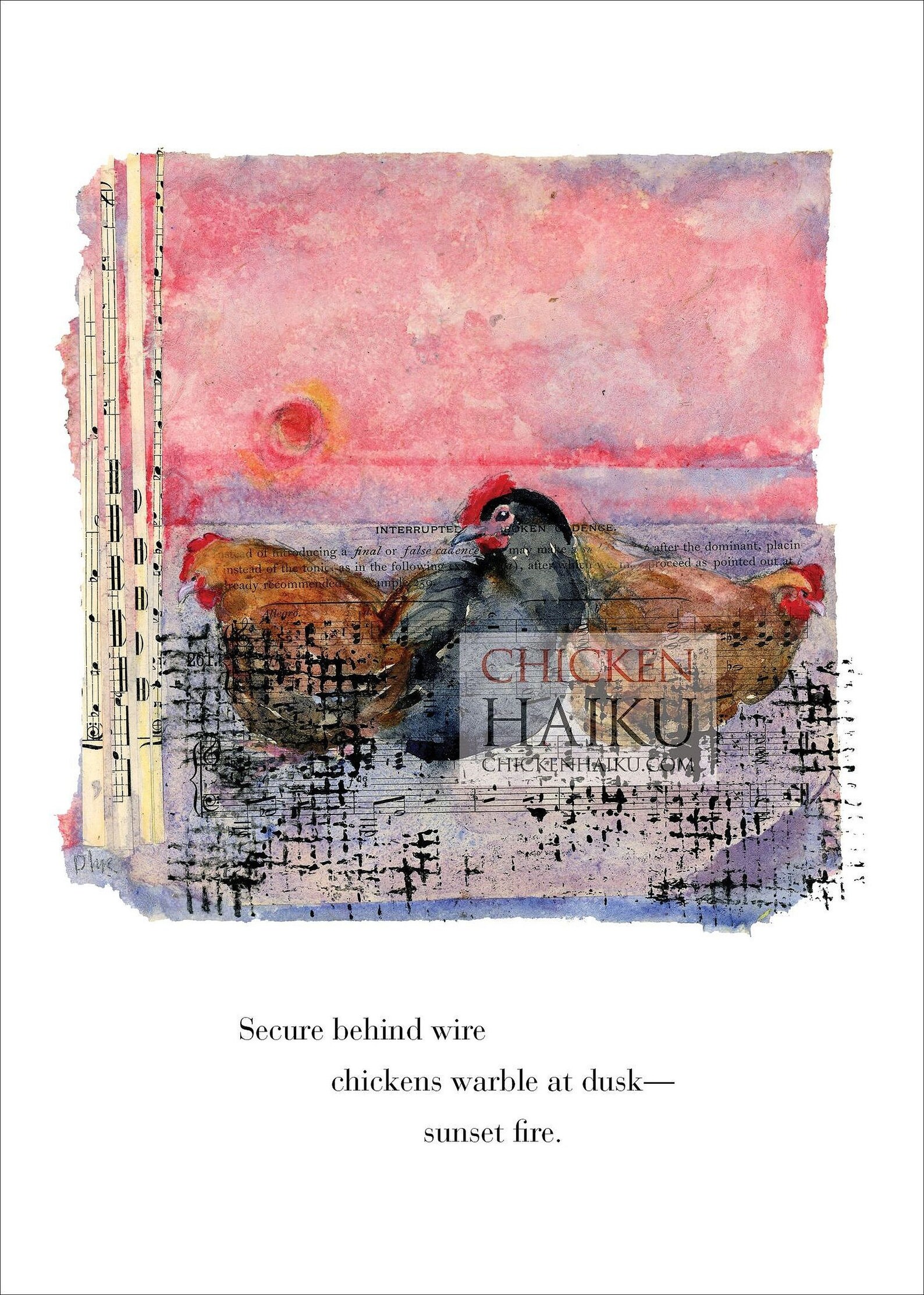 Chicken Haiku Notecards - Sunset Fire - Etsy
