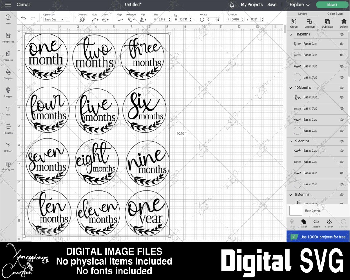 Baby Milestone Rounds Newborn SVG Bundle Baby Bundle Baby - Etsy