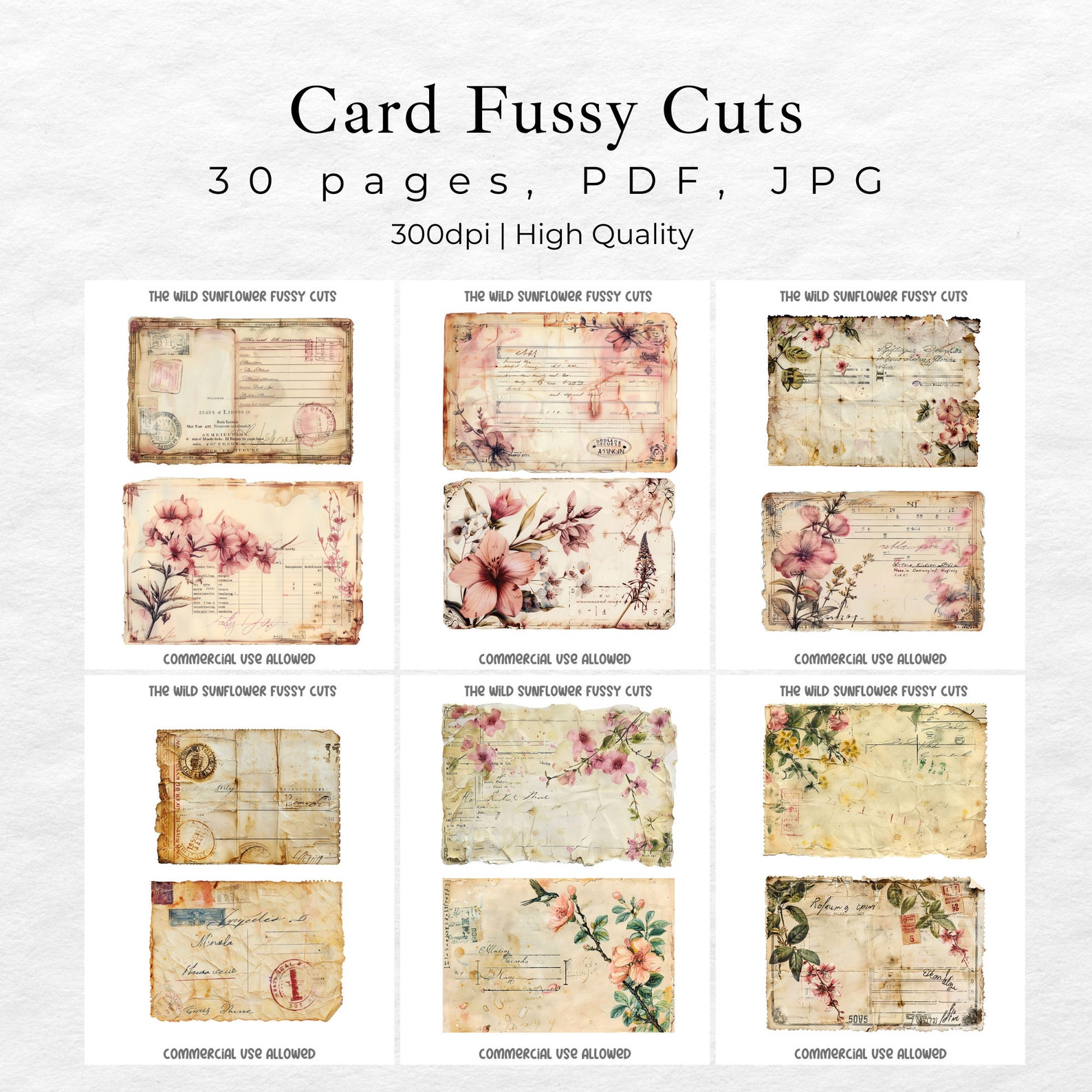 Antique Library Card Kit. Vintage Used & Blank Library Cards, Words ...