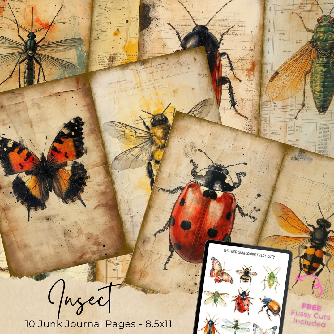 Insects Butterflies Junk Journal Ephemera Entomology Insect Butterfly ...