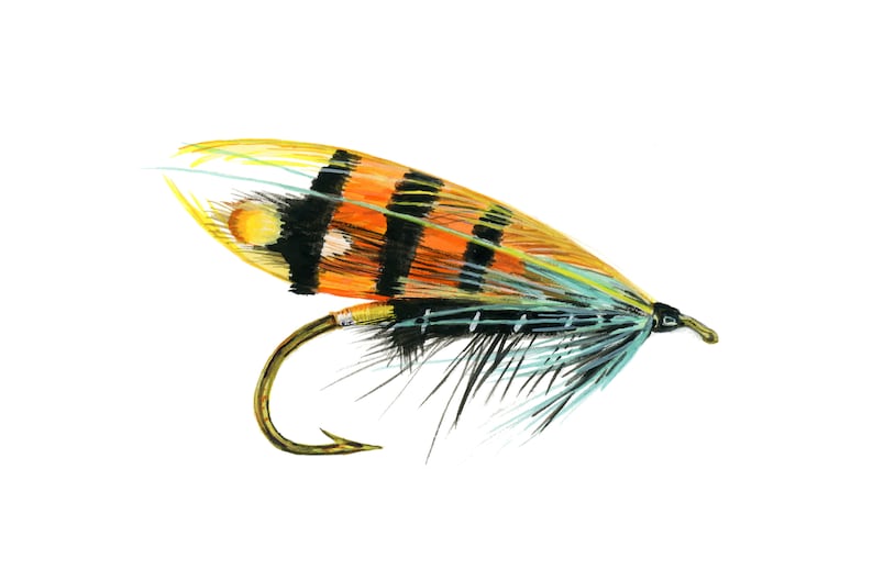 Durham Ranger Salmon Fly Fine Art Print - Etsy