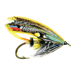 Jock Scott Salmon Fly Fine Art Print - Etsy