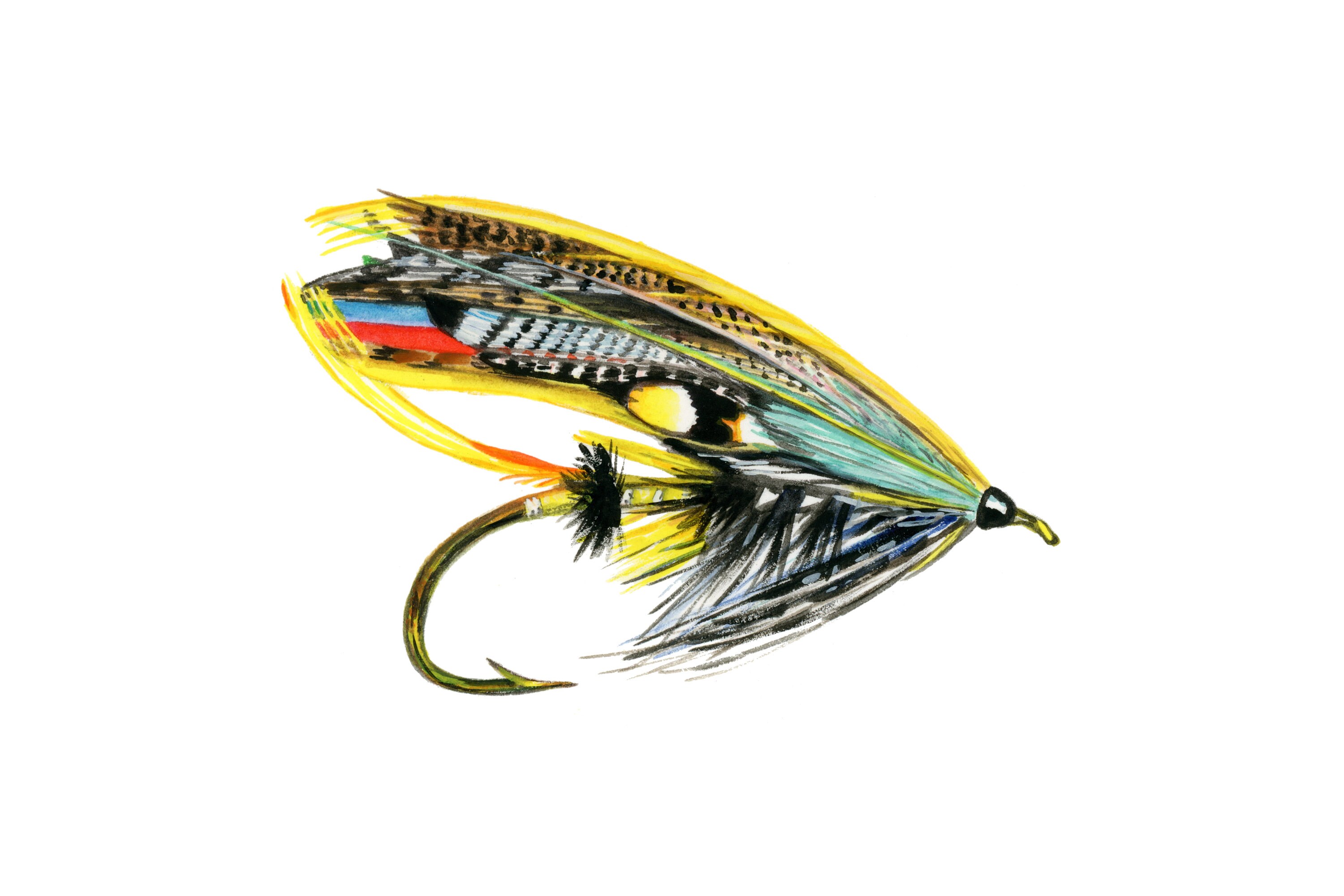 Jock Scott Salmon Fly Fine Art Print - Etsy