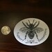 Support Local Beekeeper Sticker - Etsy
