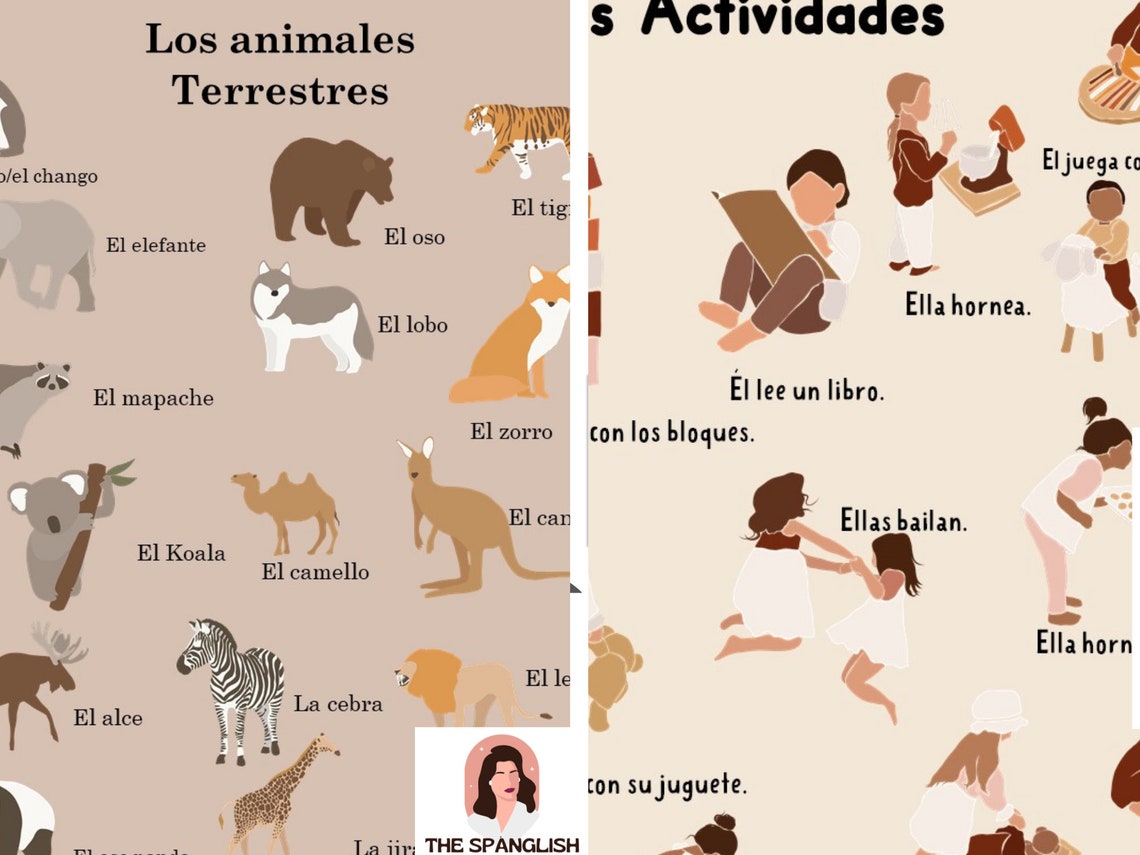 Bilingual Classroom Posters - Etsy