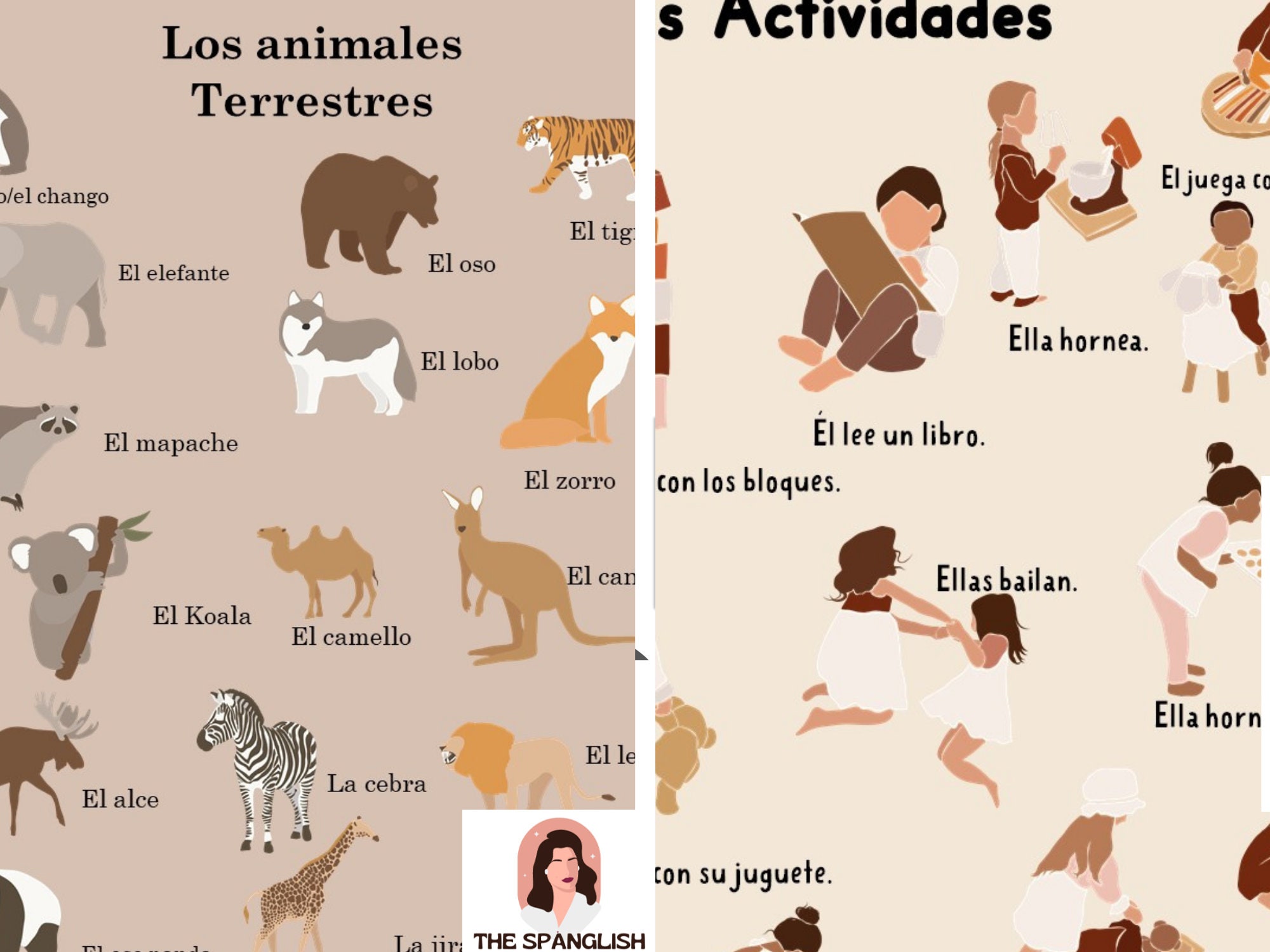 Bilingual Classroom Posters - Etsy