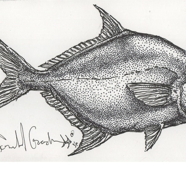 Saltwater Fish Art - Etsy