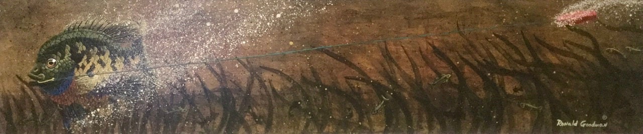 Wildlife Art, Cabin Decorations, Fish, Fishing, Fish Art, Hunting Art ...