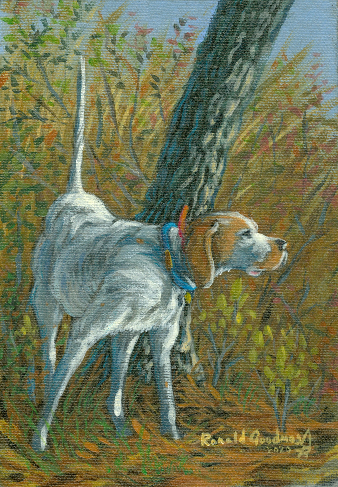 Bobwhite Quail Hunting Art, Bird Dog, Art, Sporting Dog Painting ...