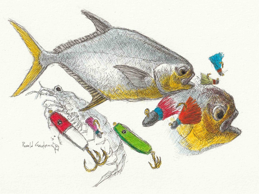 Pompano Fish Art Print: Saltwater Fishing Lures, Coastal Decor - Etsy