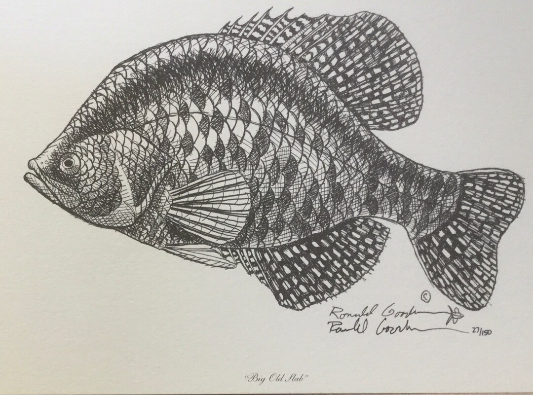 Freshwater Fish Art, Crappie Fish Art Print, Georgia Made Fishing Art ...