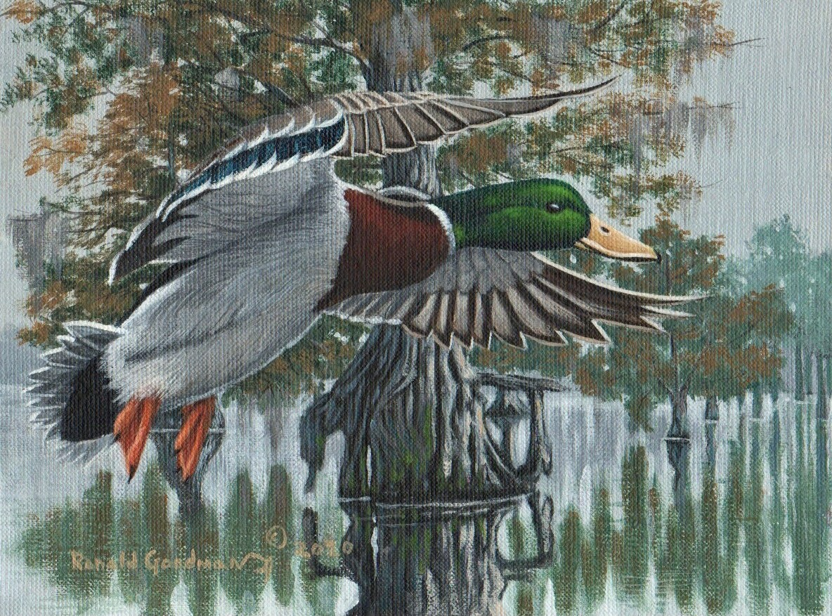 Bank’s Lake Drake, (mallard duck drake) framed original acrylic ...