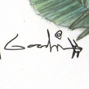 Fish Art, Ronald Goodman Art, Bluegill, Bream, Perch Print, Fishing Art ...