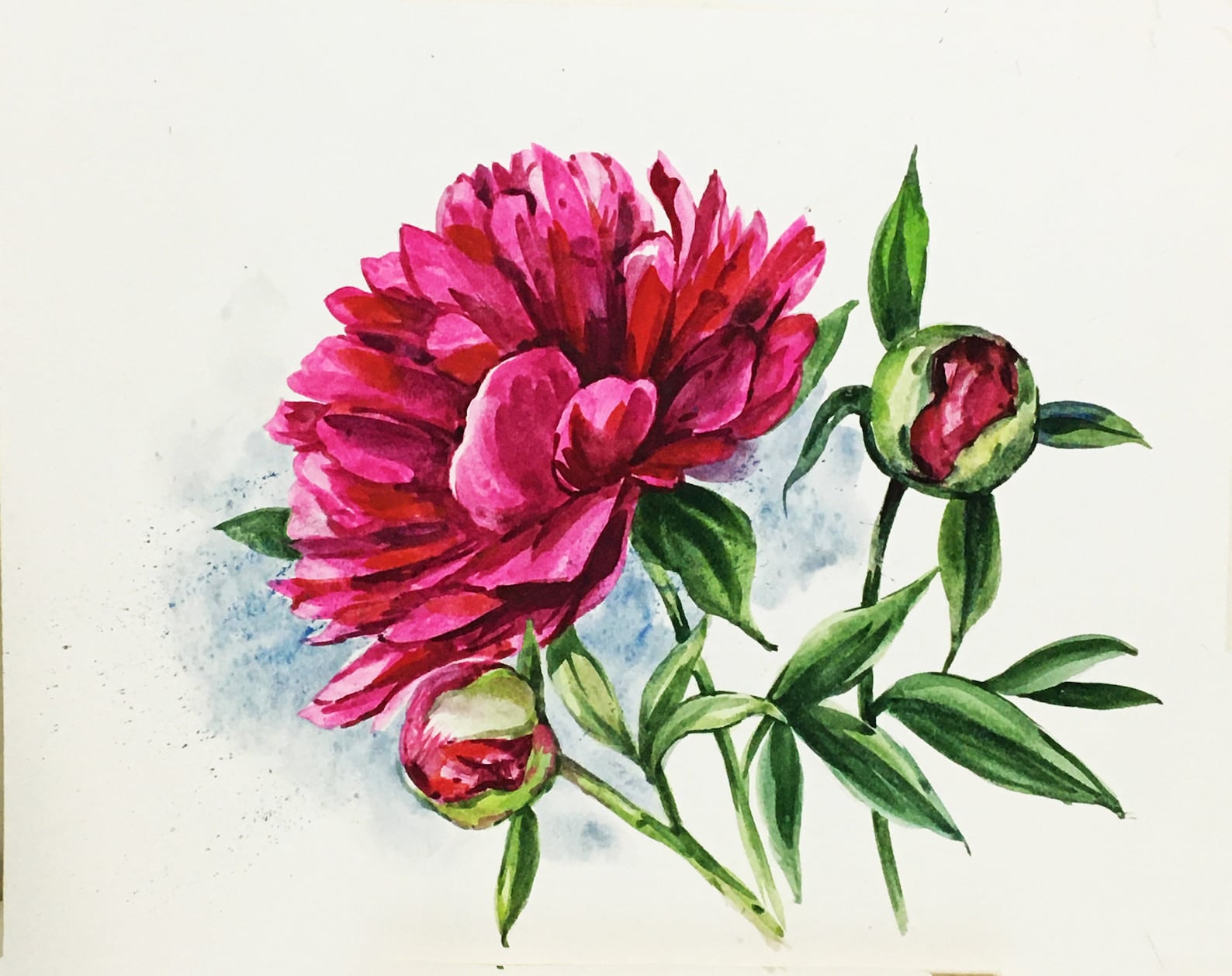 Peony Art Work Original Art Original Painting Floral - Etsy