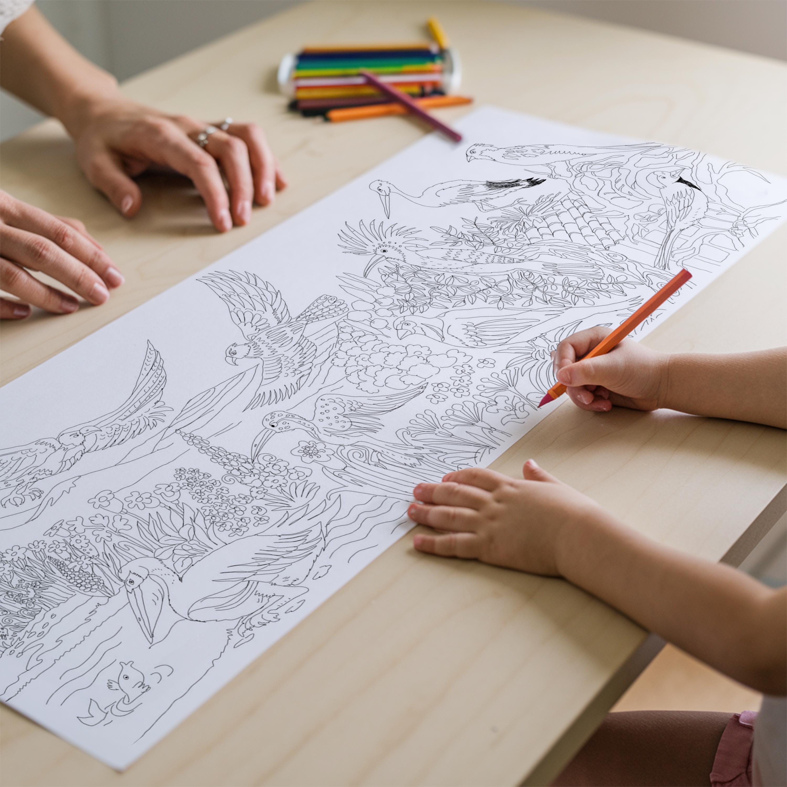 Printable Birds of Israel Coloring Poster | Family Activity ...