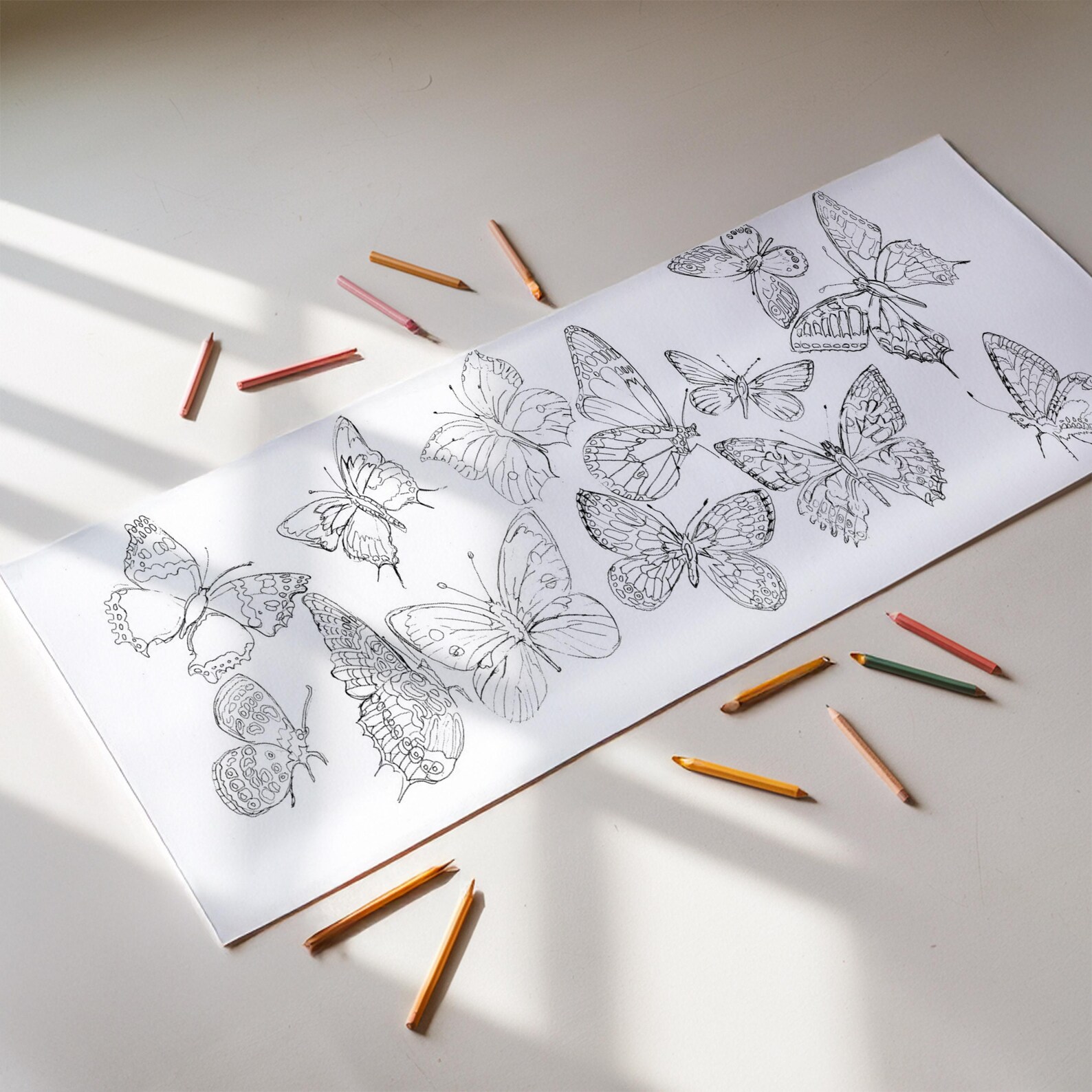 Printable Butterfly Coloring Poster | Relaxing Adult and Kids Activity ...