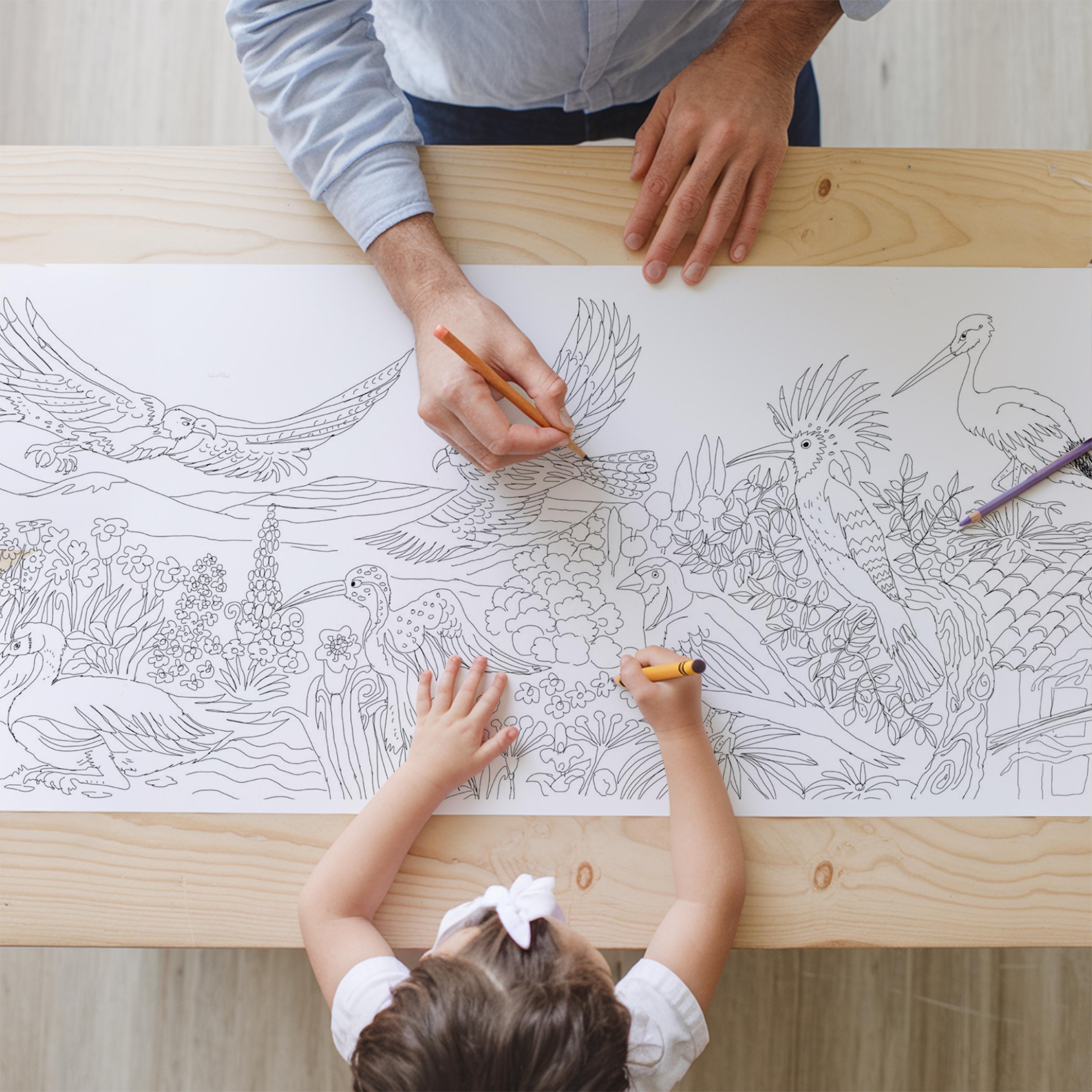 Printable Birds of Israel Coloring Poster | Family Activity ...