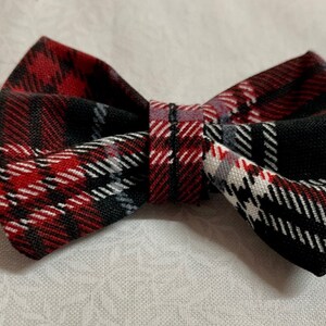 Bow tie and shirt collar for cats or dogs | Etsy