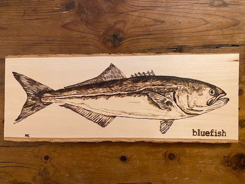 Custom Fish Woodburning -- Large - Etsy