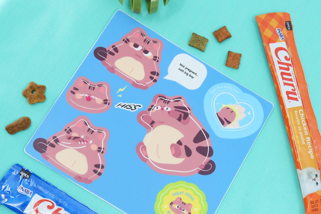 Chonky Tabby Cat Kiss-cut Sticker Sheet - Etsy