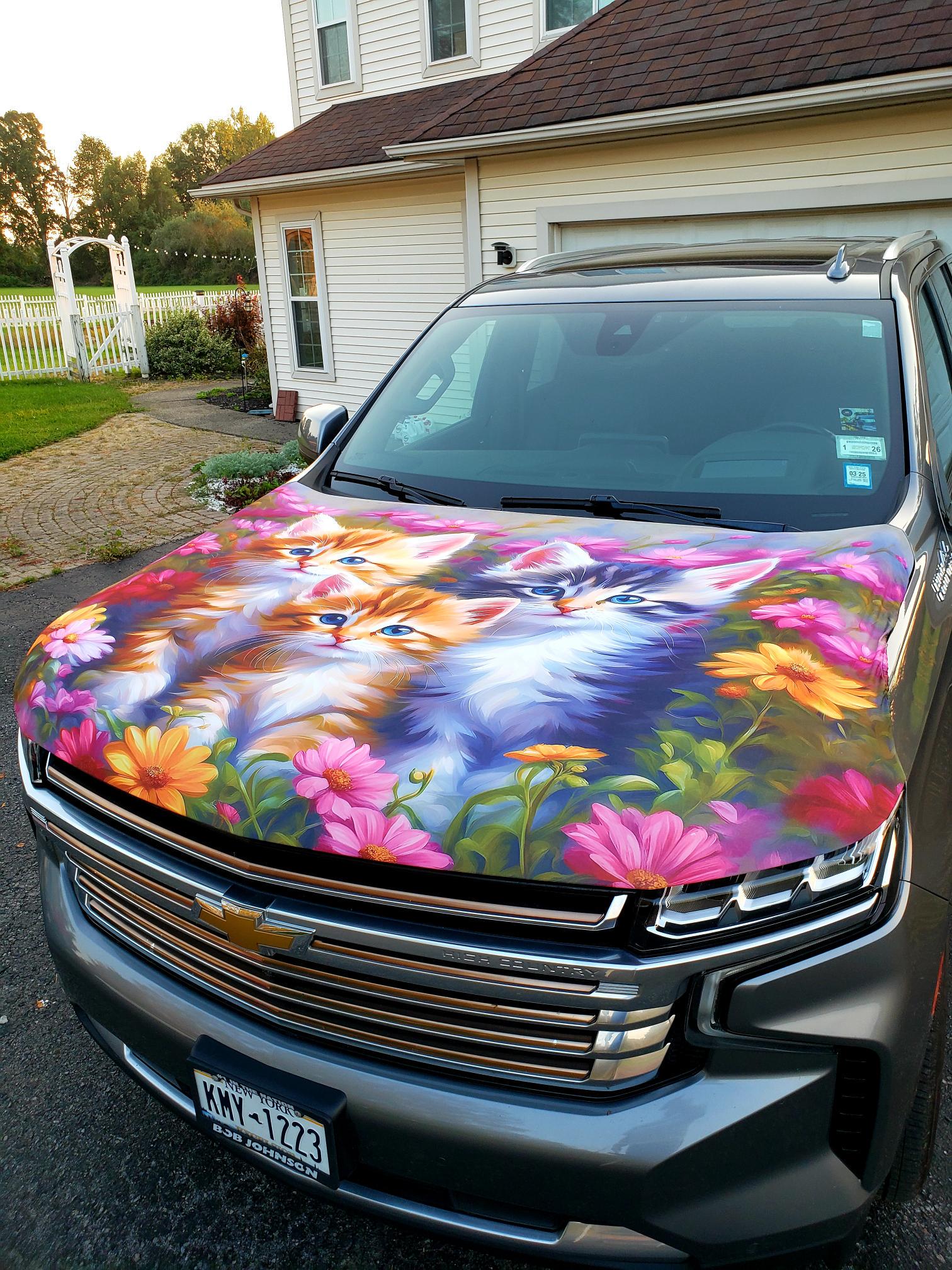 Flowerful Kittens Auto Hood Cover | Cat Lovers | Felines | Kittens ...