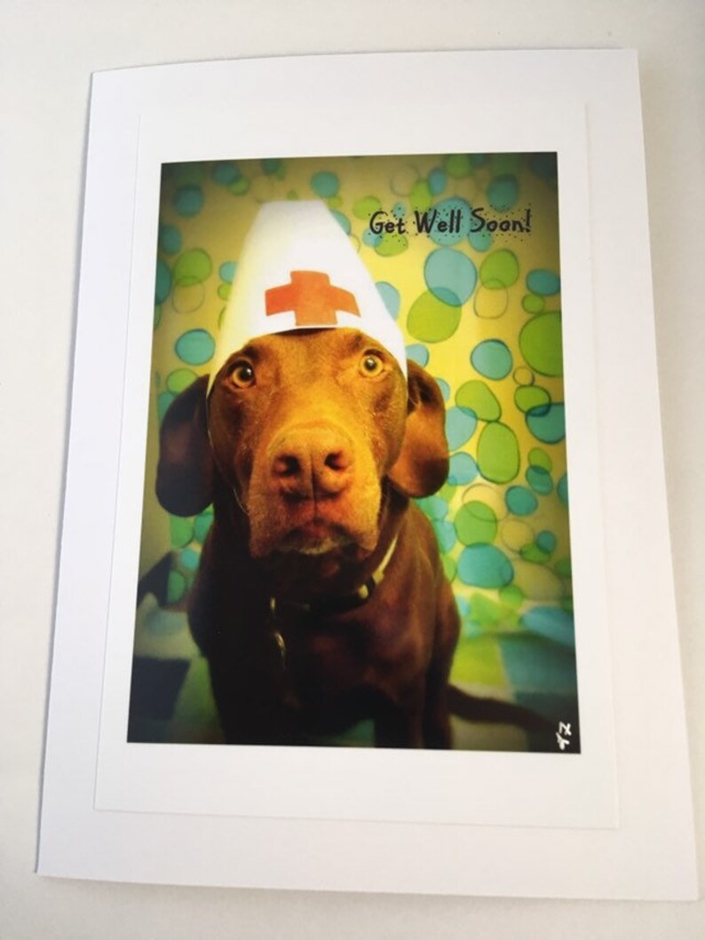 Dog Get Well Soon Handmadecard - Etsy