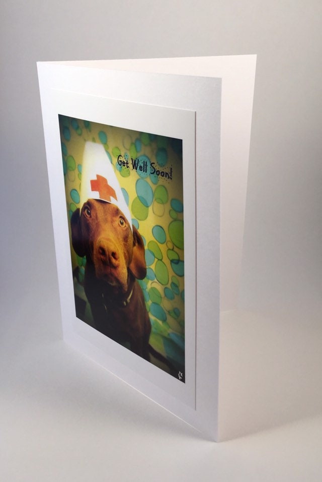 Dog Get Well Soon Handmadecard - Etsy