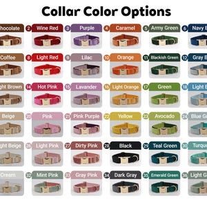 Personalized Embroidered Dog Collar, Personalized Velvet Dog Collar ...