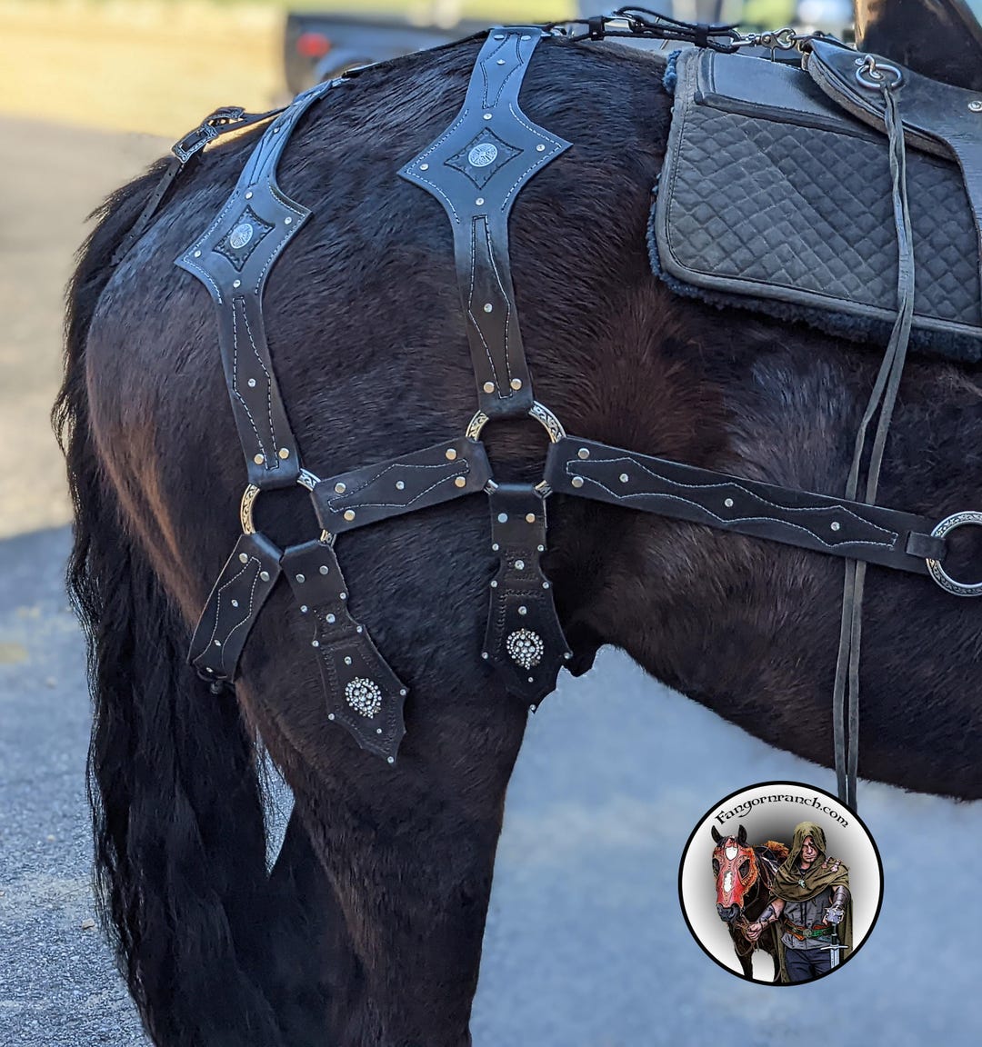 Roäc's Prophecy Crupper/britchen - Etsy