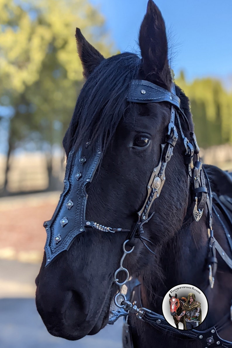Roäc's Prophecy Bridle/chamfron - Etsy