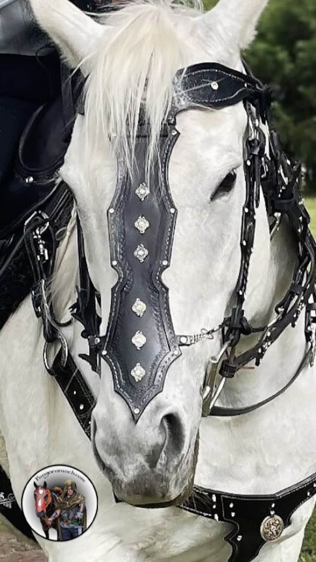 Roäc's Prophecy Bridle/chamfron - Etsy