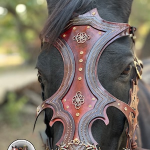 Aeglos Shines Bridle/chamfron - Etsy