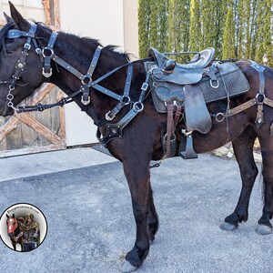 Roäc's Prophecy Crinet {neck Piece} - Etsy