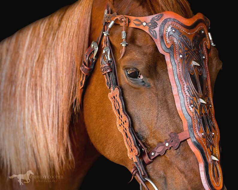 Thorondors Crown Bridle/chamfron - Etsy