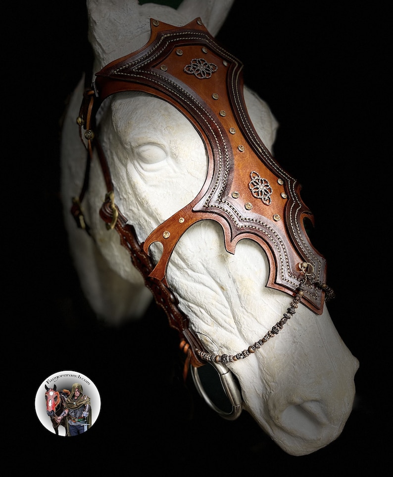 Aeglos Shines Bridle/chamfron - Etsy