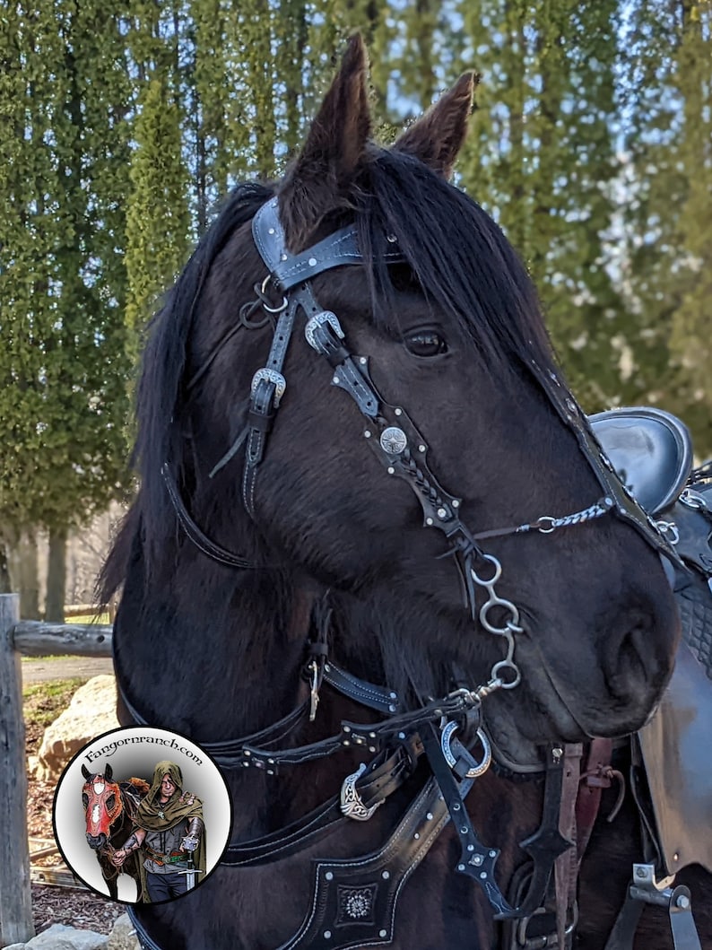 Roäc's Prophecy Bridle/chamfron - Etsy