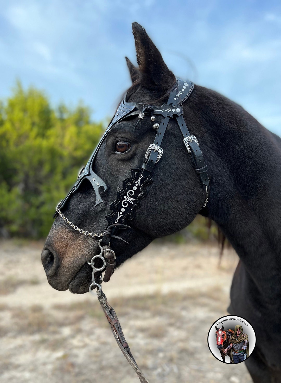 Aeglos Shines Bridle/chamfron Black - Etsy
