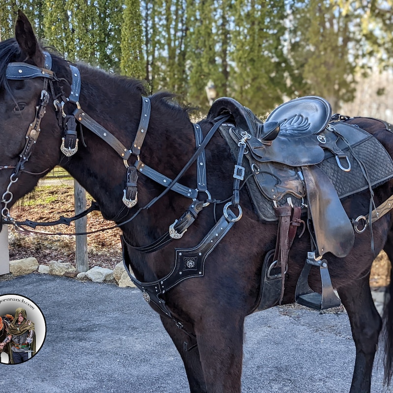 Medieval Horse Tack - Etsy